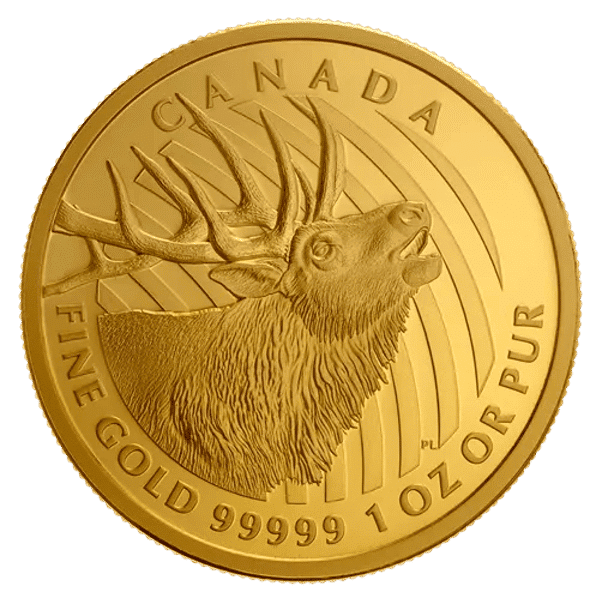 Gold Canadian Bugling Elk Coins for Sale | "Call of the Wild"